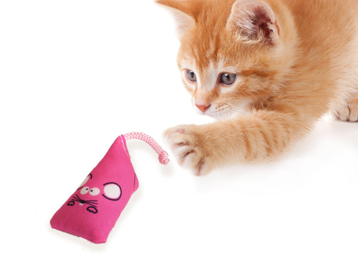 RATONES CATNIP MILES DE GATO 3 PZS — Woow Guau